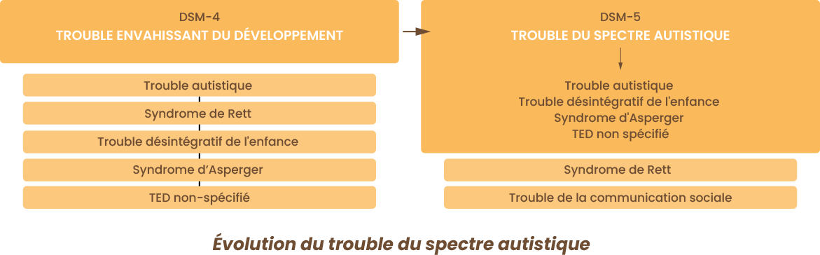 Comprendre le trouble du spectre de l'autisme (TSA)